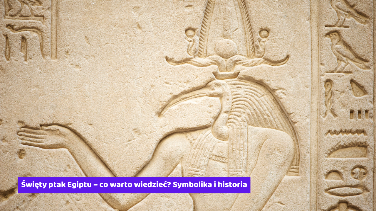 Święty ptak Egiptu – co warto wiedzieć? Symbolika i historia ...